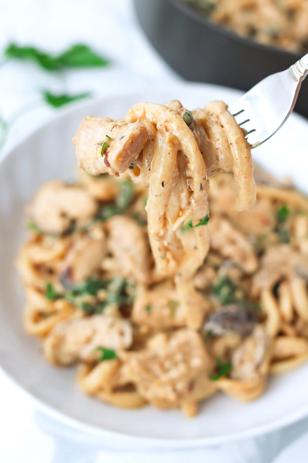 Creamy Mushroom Udon with Chicken - That Spicy Chick