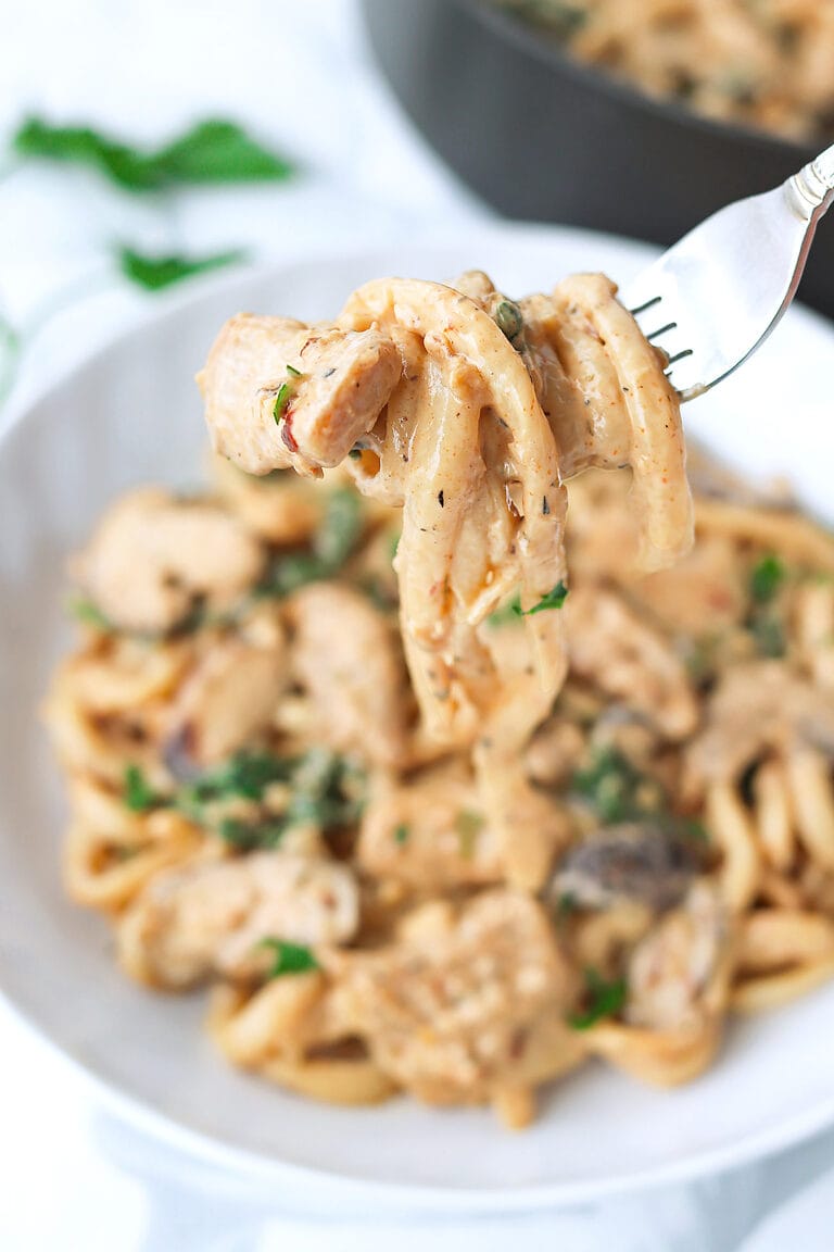 Creamy Mushroom Udon with Chicken - That Spicy Chick