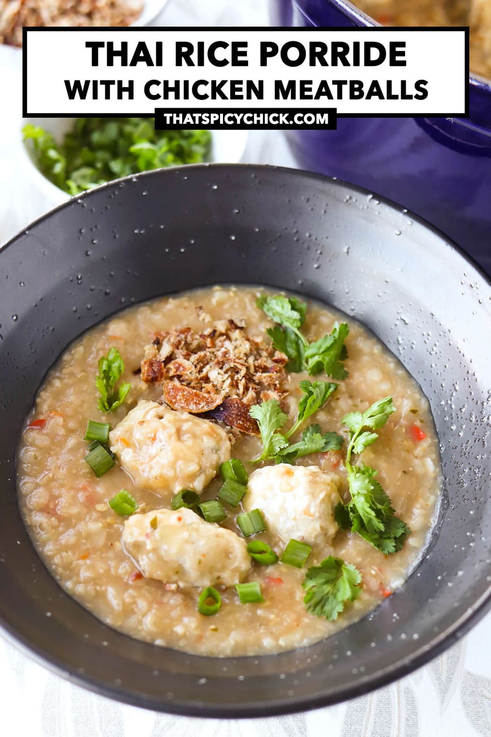 Thai Congee with Chicken Meatballs - That Spicy Chick