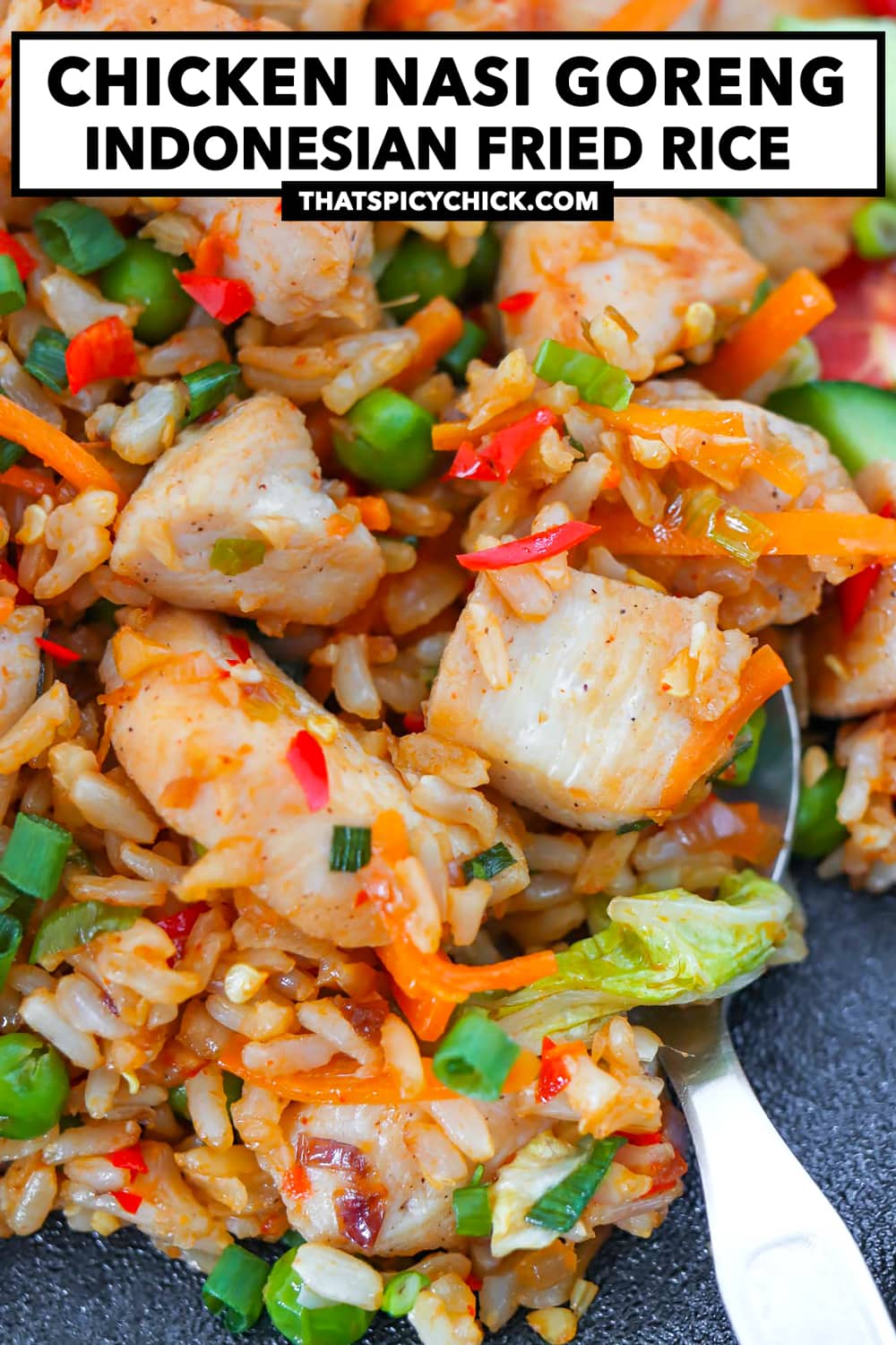 Chicken Nasi Goreng Recipe - That Spicy Chick