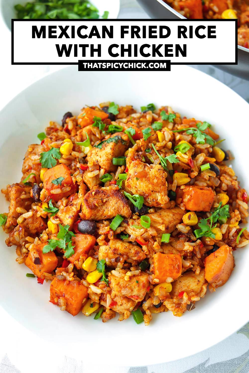 Mexican Fried Rice with Chicken - That Spicy Chick