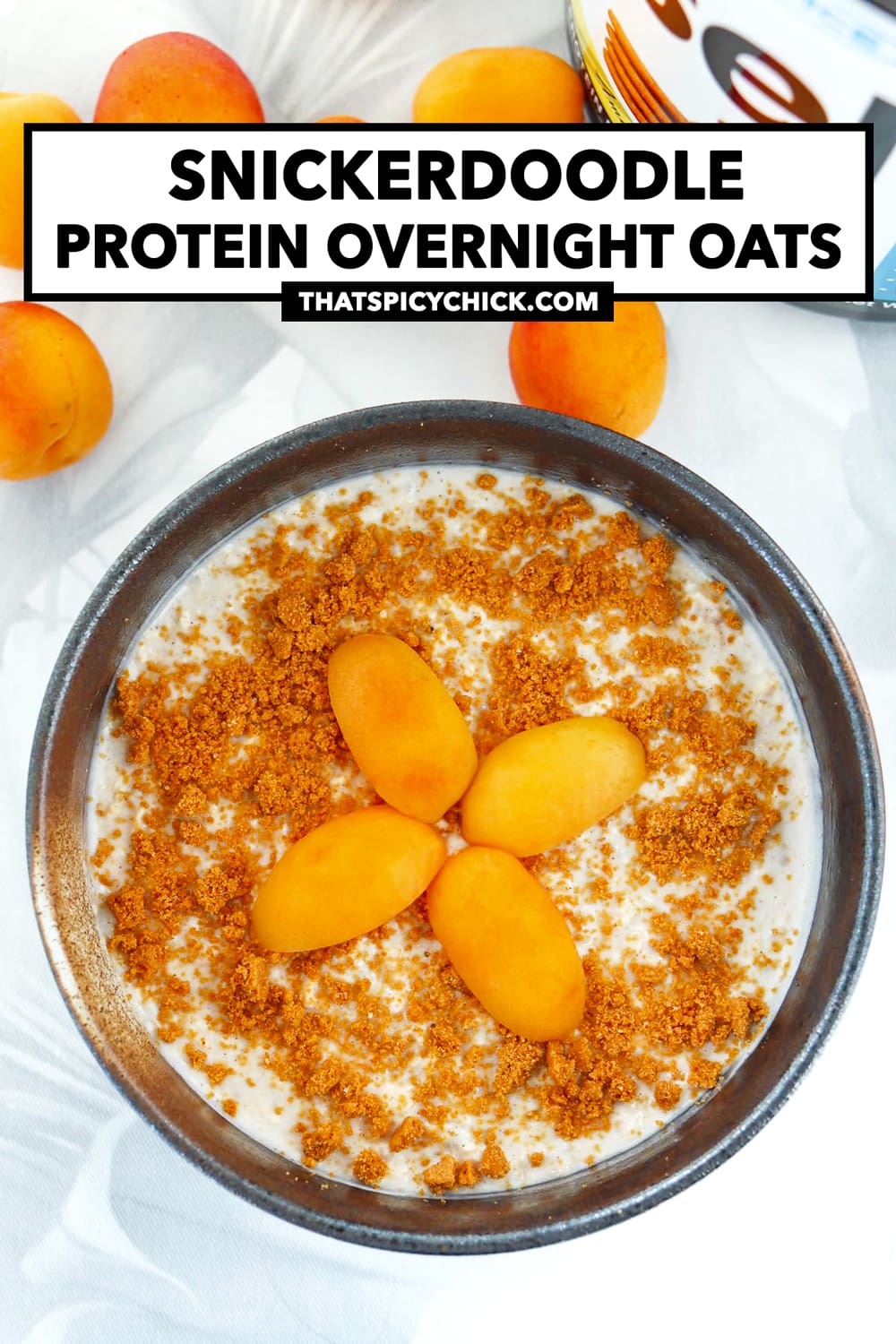 Snickerdoodle Protein Overnight Oats (34 grams protein!) - That Spicy Chick