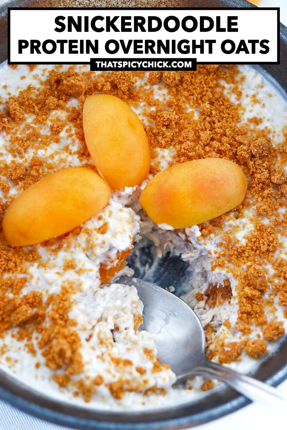 Snickerdoodle Protein Overnight Oats (34 grams protein!) - That Spicy Chick