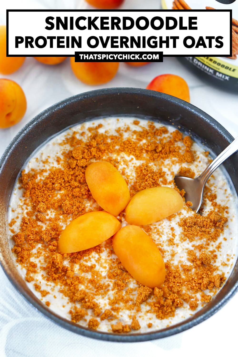 Snickerdoodle Protein Overnight Oats (34 grams protein!) - That Spicy Chick