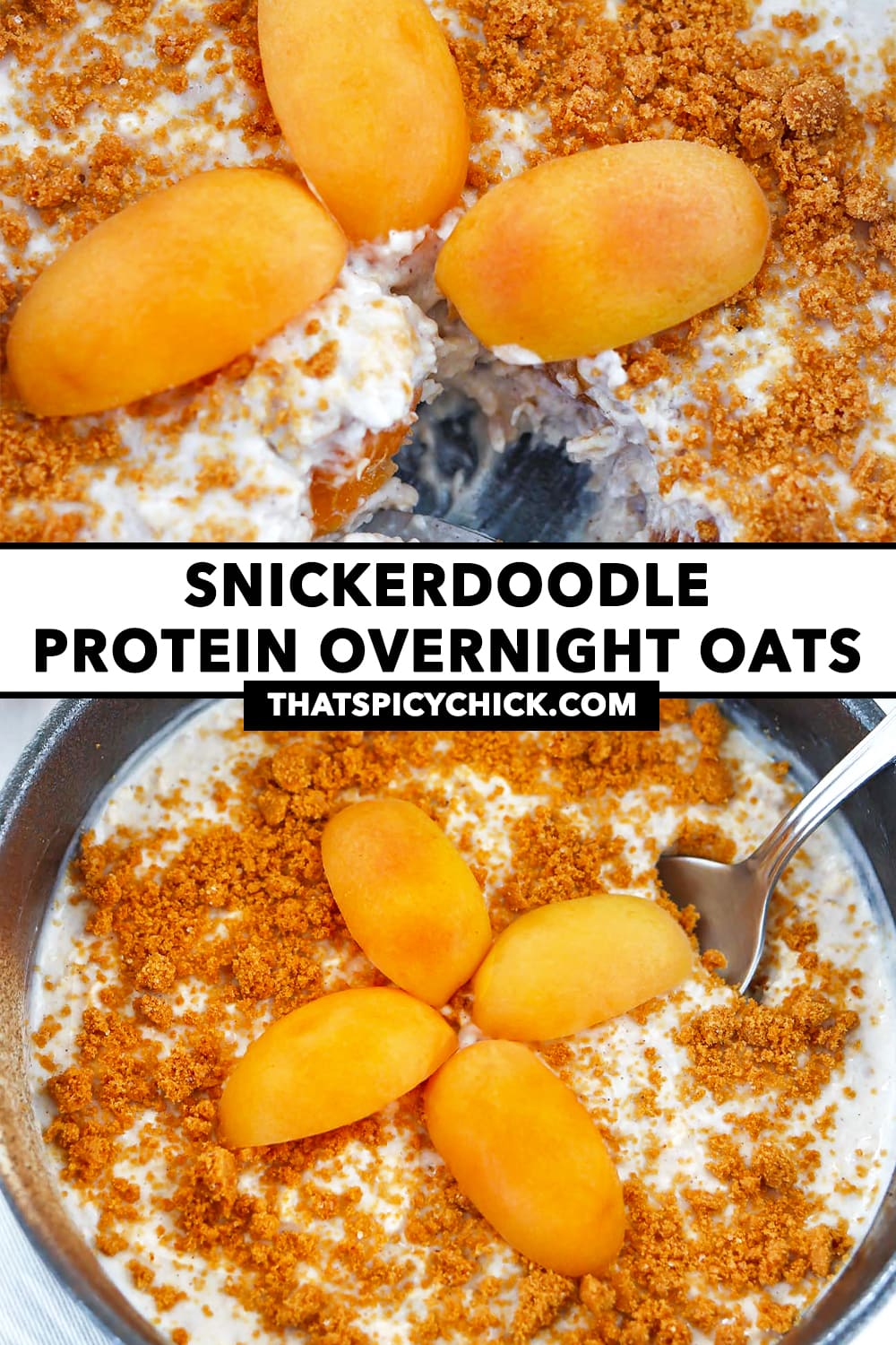 Snickerdoodle Protein Overnight Oats (34 grams protein!) - That Spicy Chick