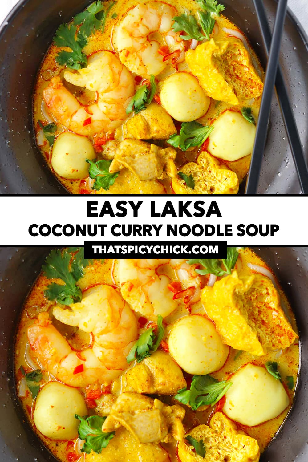 Easy Laksa Noodle Soup - That Spicy Chick