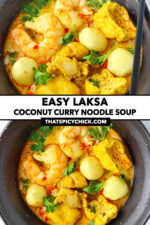 Easy Laksa Noodle Soup - That Spicy Chick