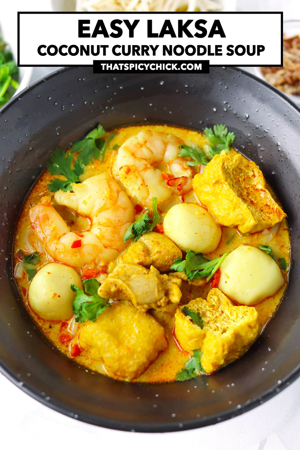 Easy Laksa Noodle Soup - That Spicy Chick