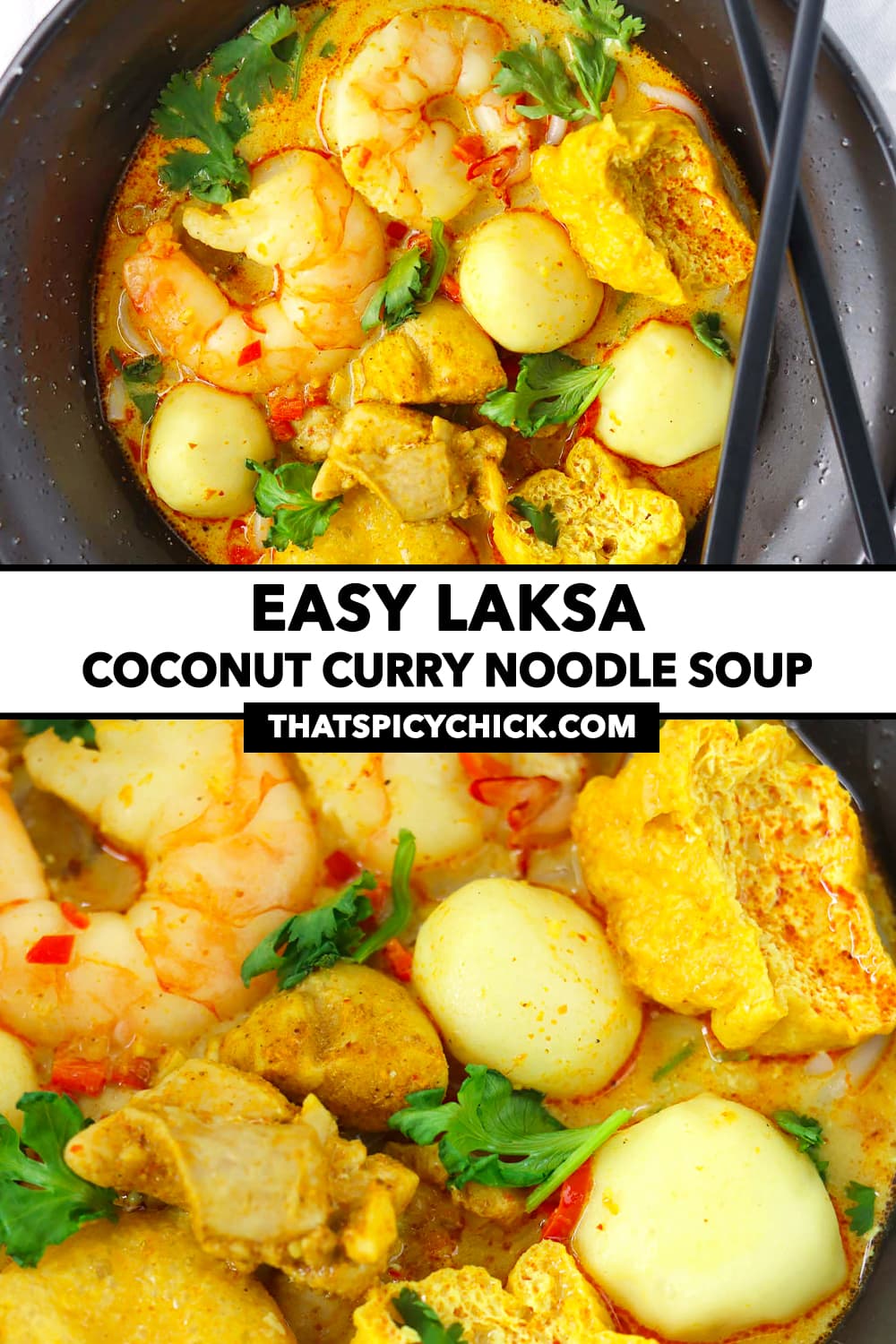 Easy Laksa Noodle Soup - That Spicy Chick
