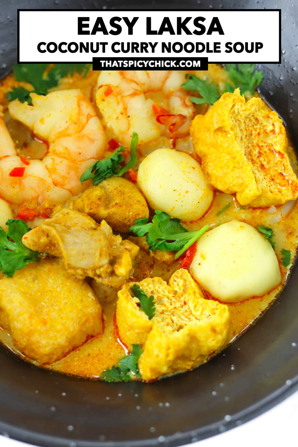 Easy Laksa Noodle Soup - That Spicy Chick