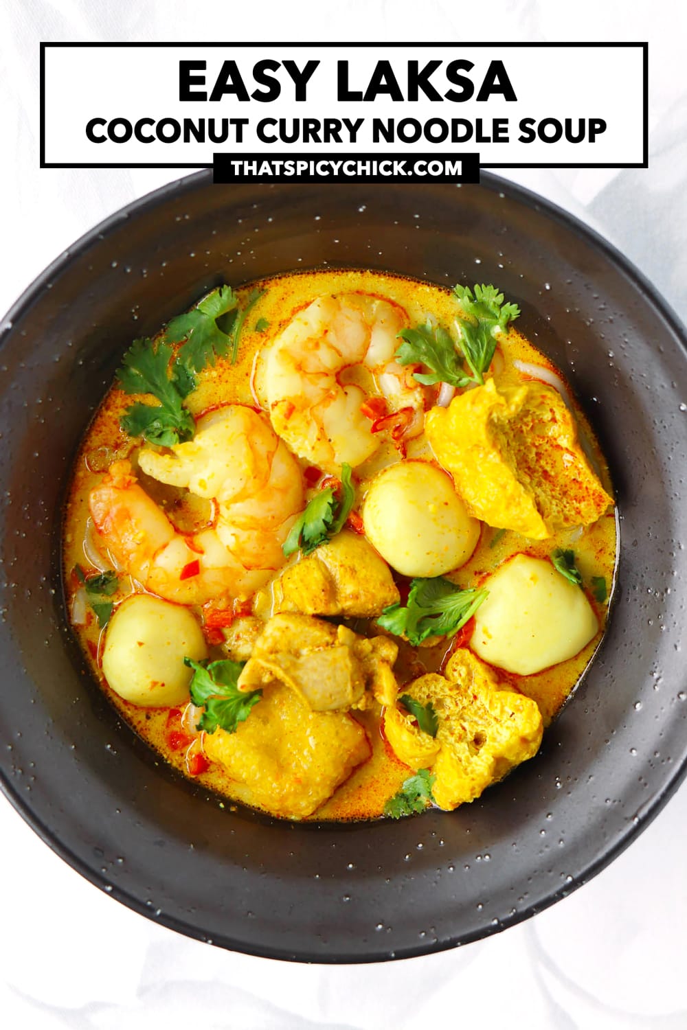 Easy Laksa Noodle Soup - That Spicy Chick