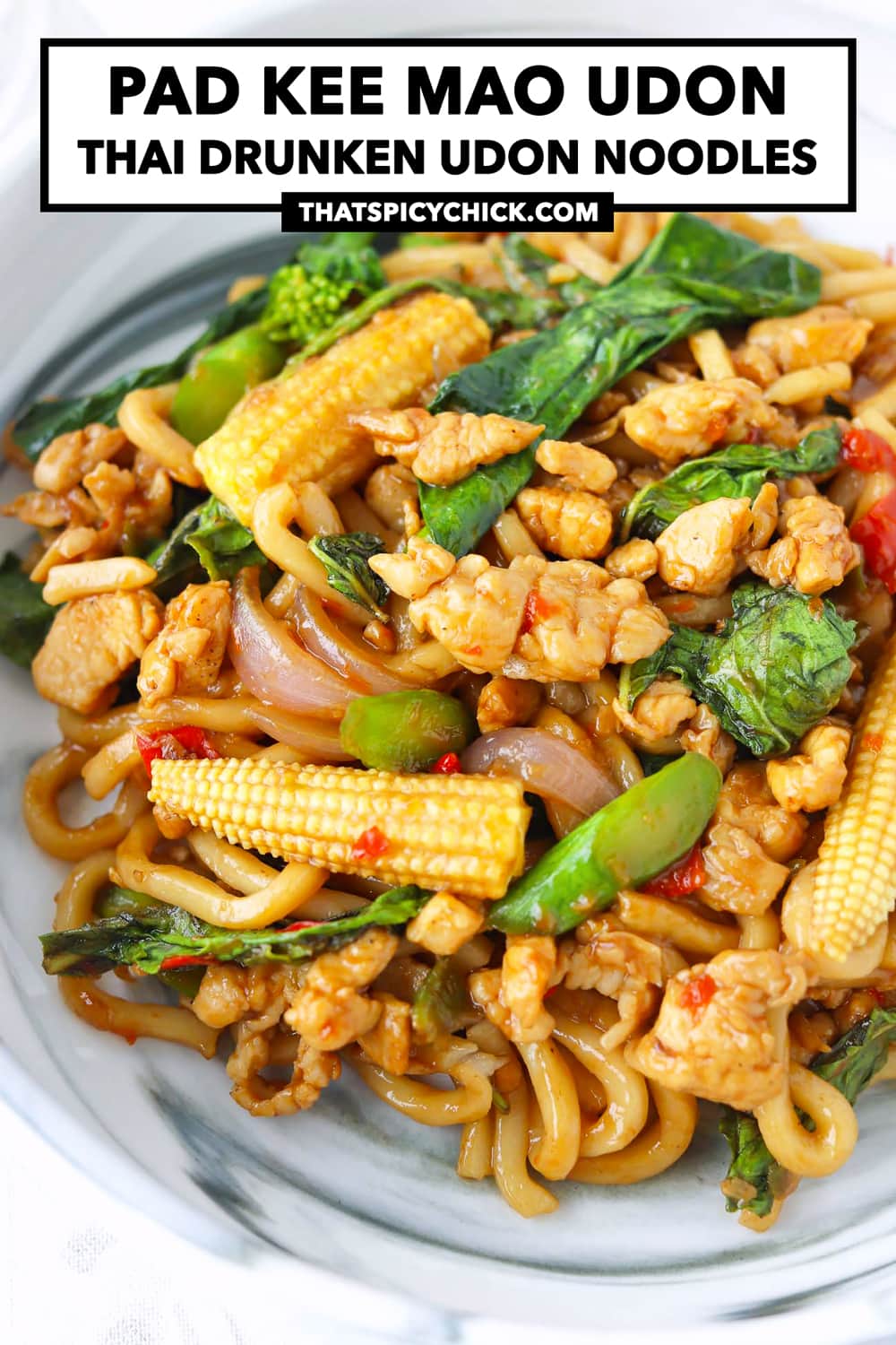 Drunken Udon Noodles (Thai Pad Kee Mao Udon) - That Spicy Chick