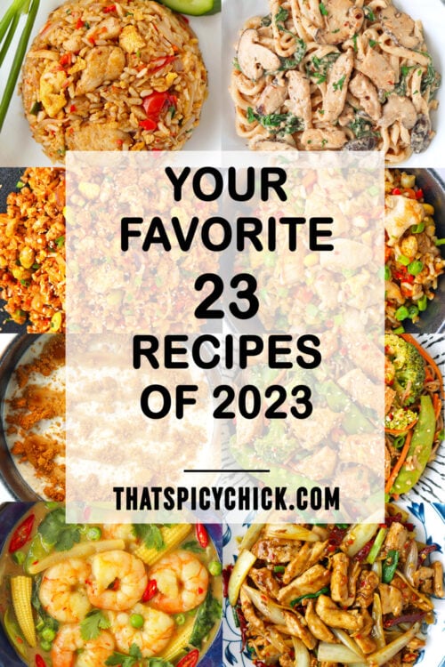 Your 23 Favorite Recipes of 2023 - That Spicy Chick