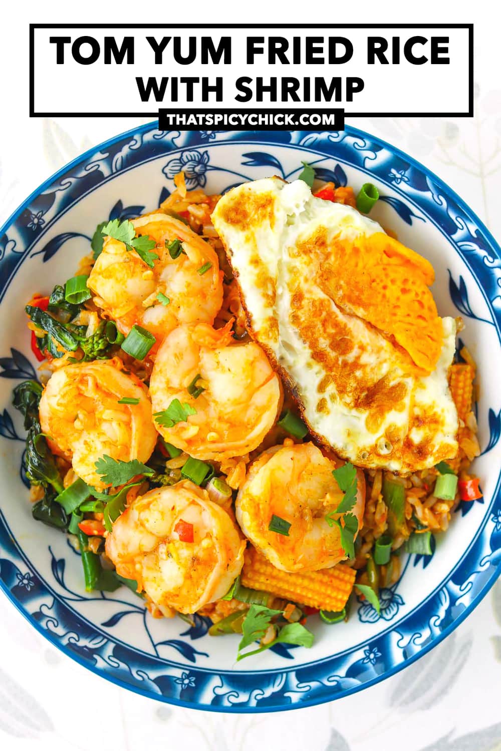 Tom Yum Fried Rice - That Spicy Chick