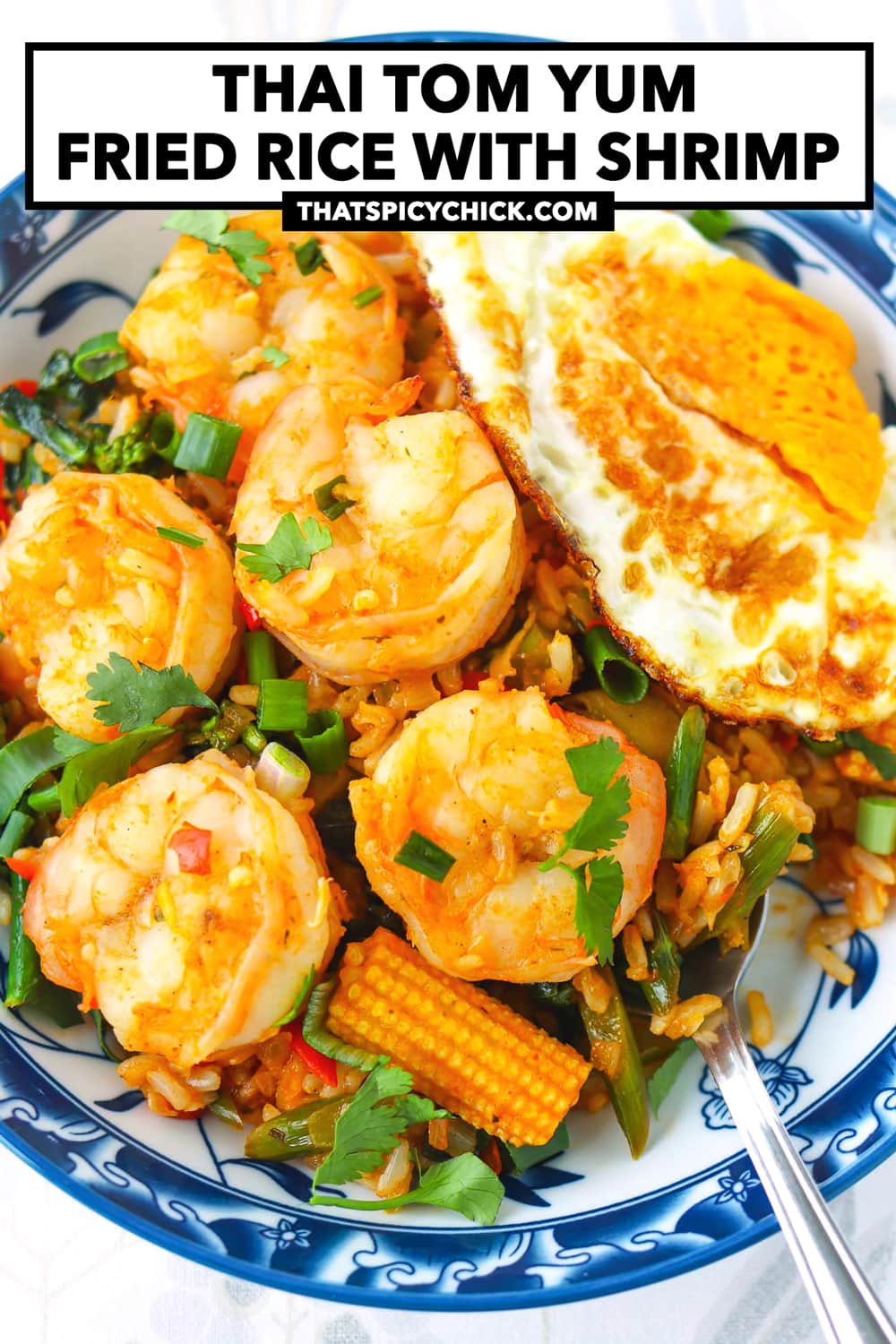 Tom Yum Fried Rice - That Spicy Chick