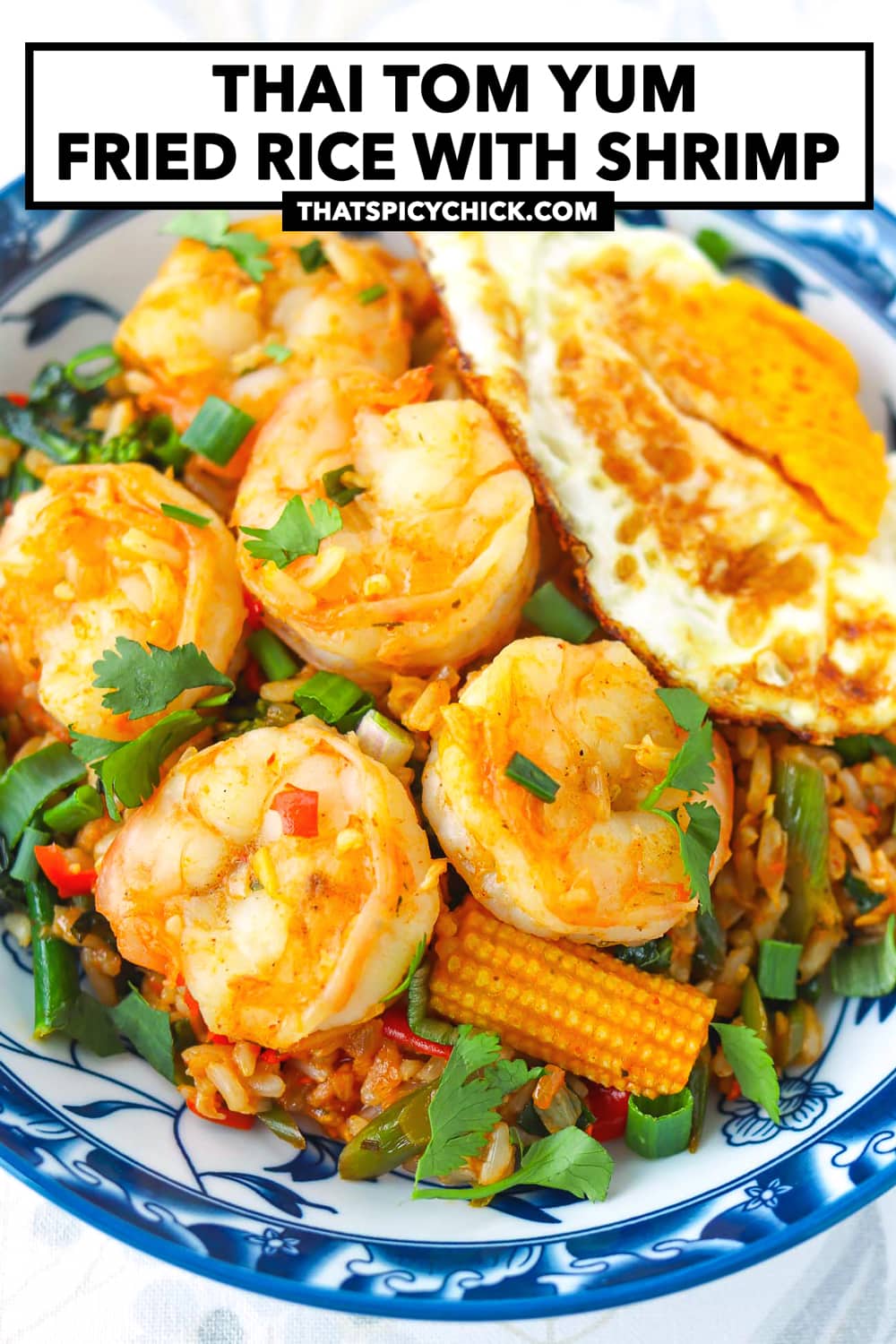 Tom Yum Fried Rice - That Spicy Chick