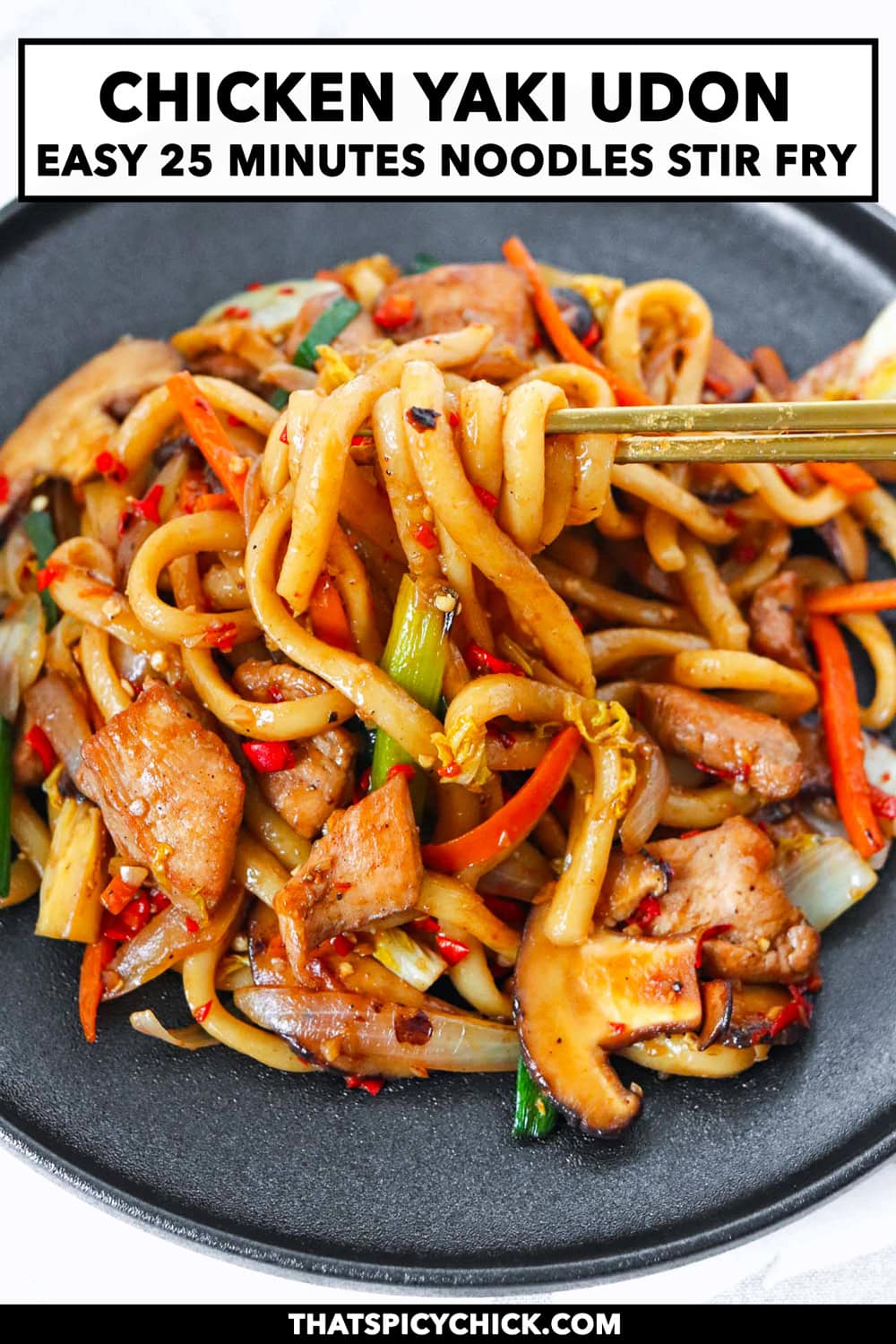 Chicken Yaki Udon (Japanese Stir-Fried Noodles Recipe) - That Spicy Chick