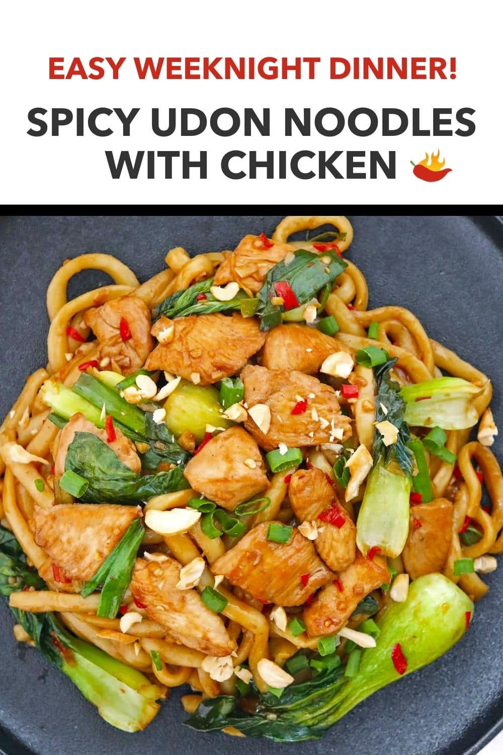 Spicy Udon Noodles with Chicken - That Spicy Chick