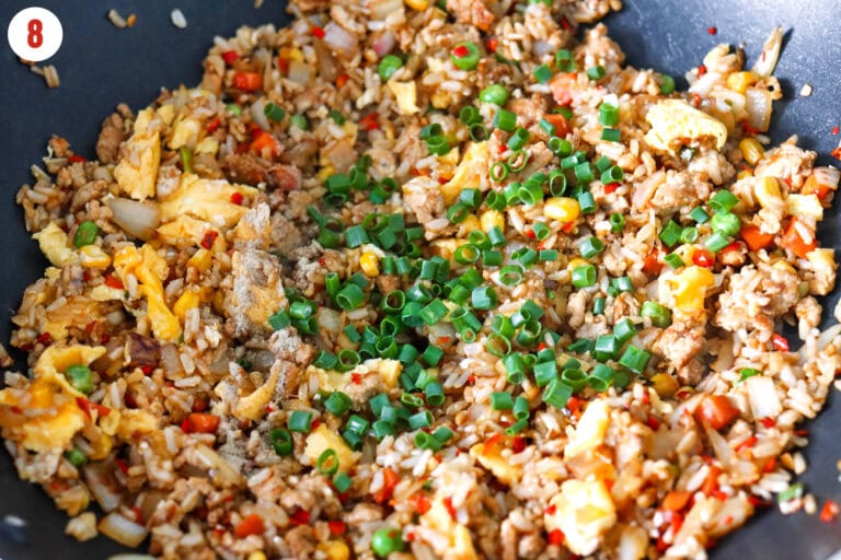 Chinese Pork Fried Rice - That Spicy Chick