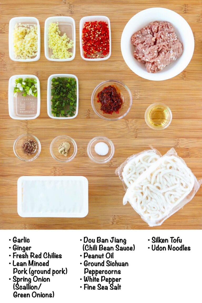 Creamy Mapo Tofu Udon Noodles - That Spicy Chick